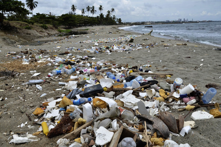 ¡qué Asco Conoce Las 5 Playas Más Sucias De México