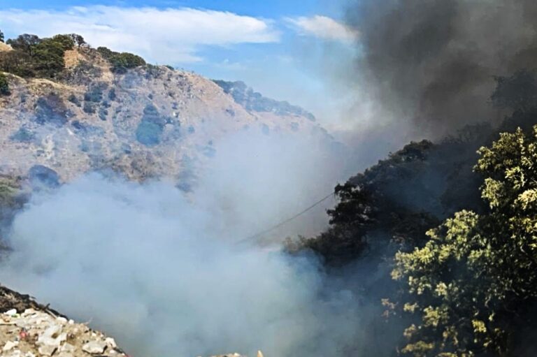 Combaten incendio en el Cerro del Colli; activan alerta atmosférica - Siker